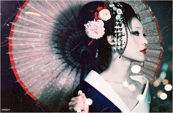 Stileggendo....spunti di vista: Geisha....persona d'arte