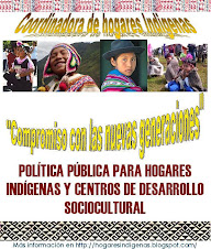 HOGAR MAPUCHE P E L O N T U W E