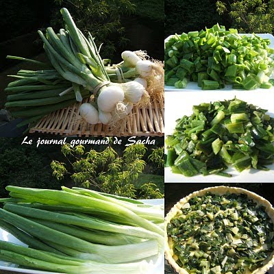 Fanes d oignons - Chris Cummings