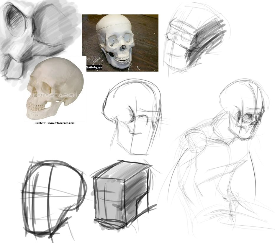 Blog-O-Art: Anatomy practice