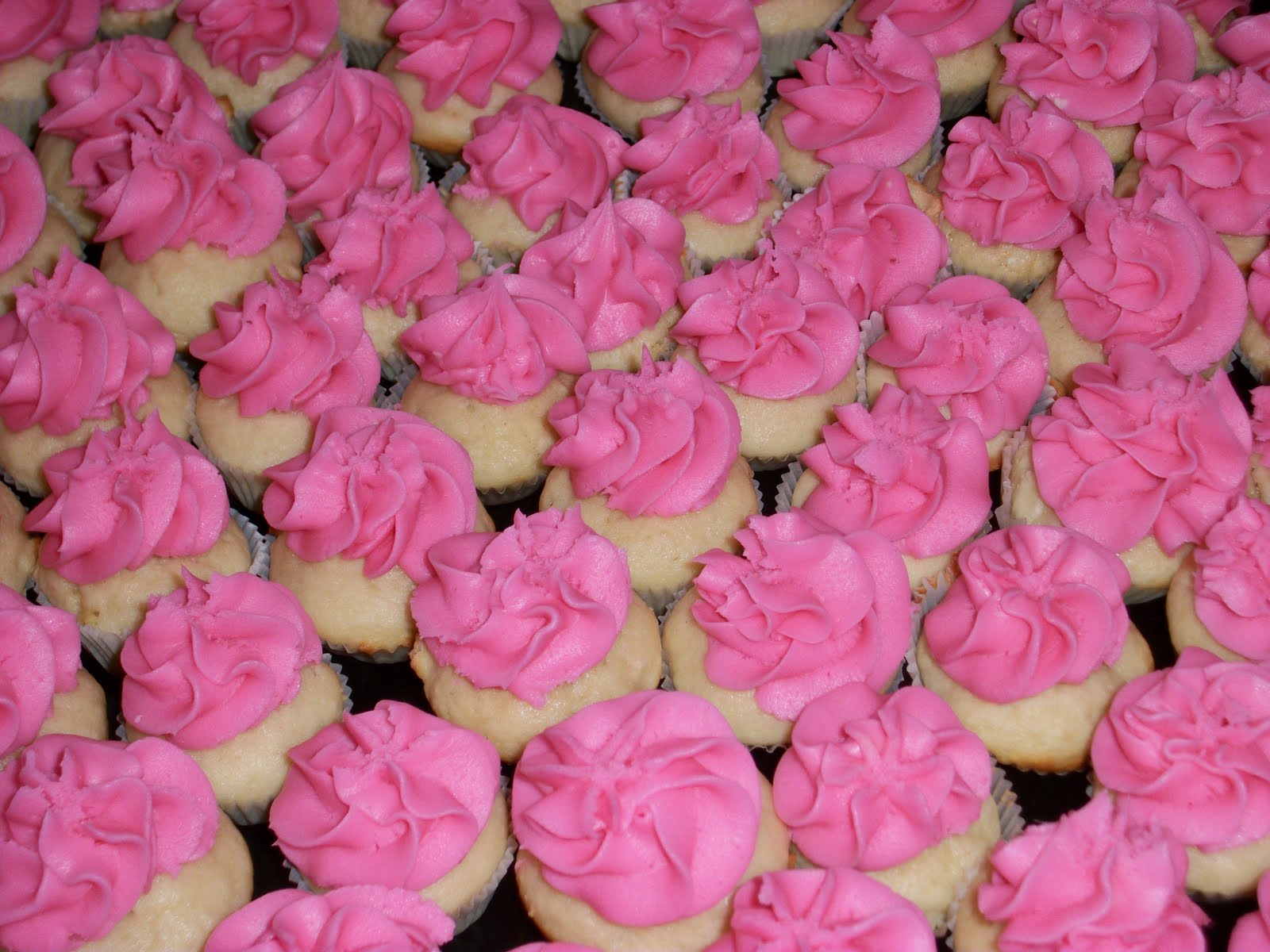 Lola Pearl Bake Shoppe: June 2010