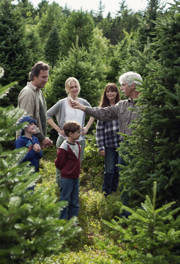 Its a Wonderful Movie - Your Guide to Family and Christmas Movies on TV ...