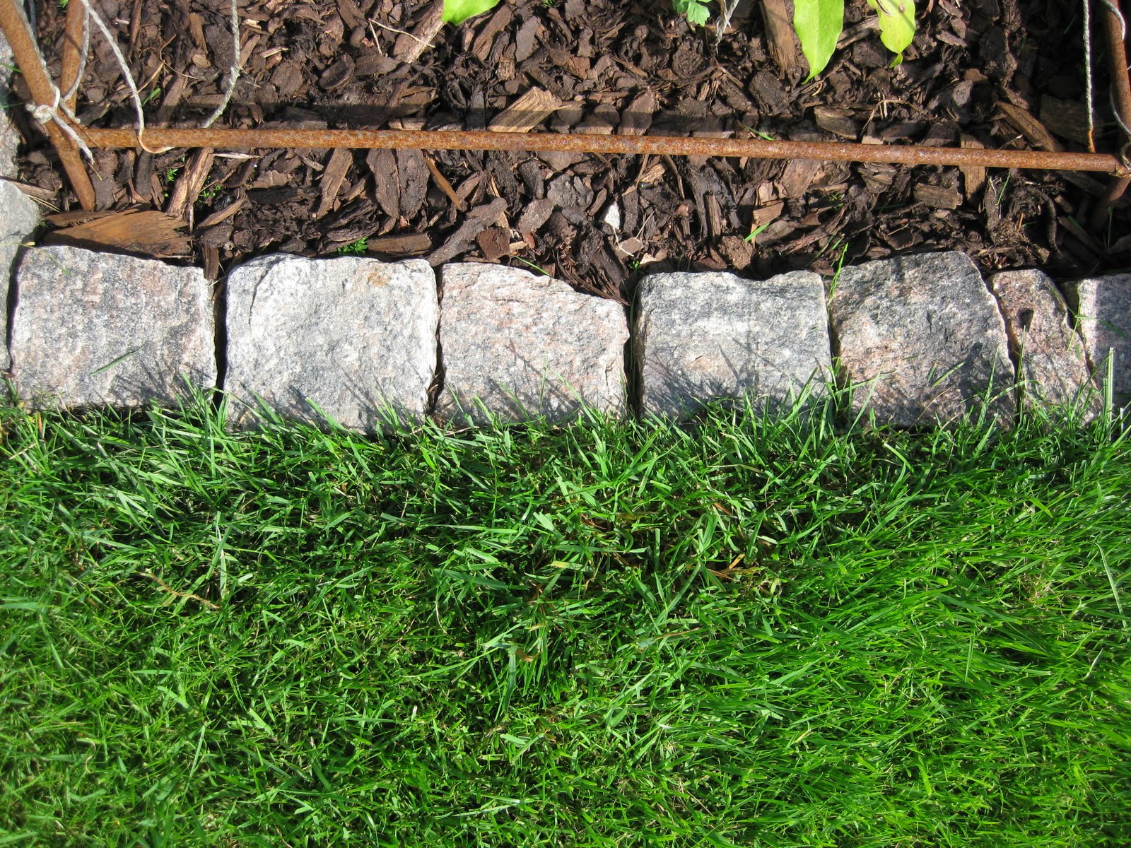 Hallontrollets trädgård: Rabattkant