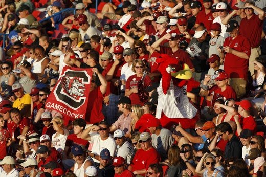 Gamecock Mama: 2010 National Champions!