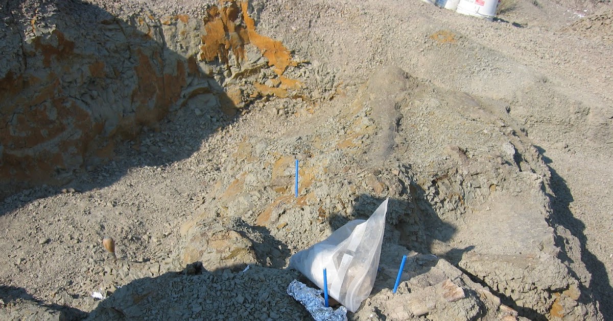 North Dakota Dinosaur Dig: Part 2