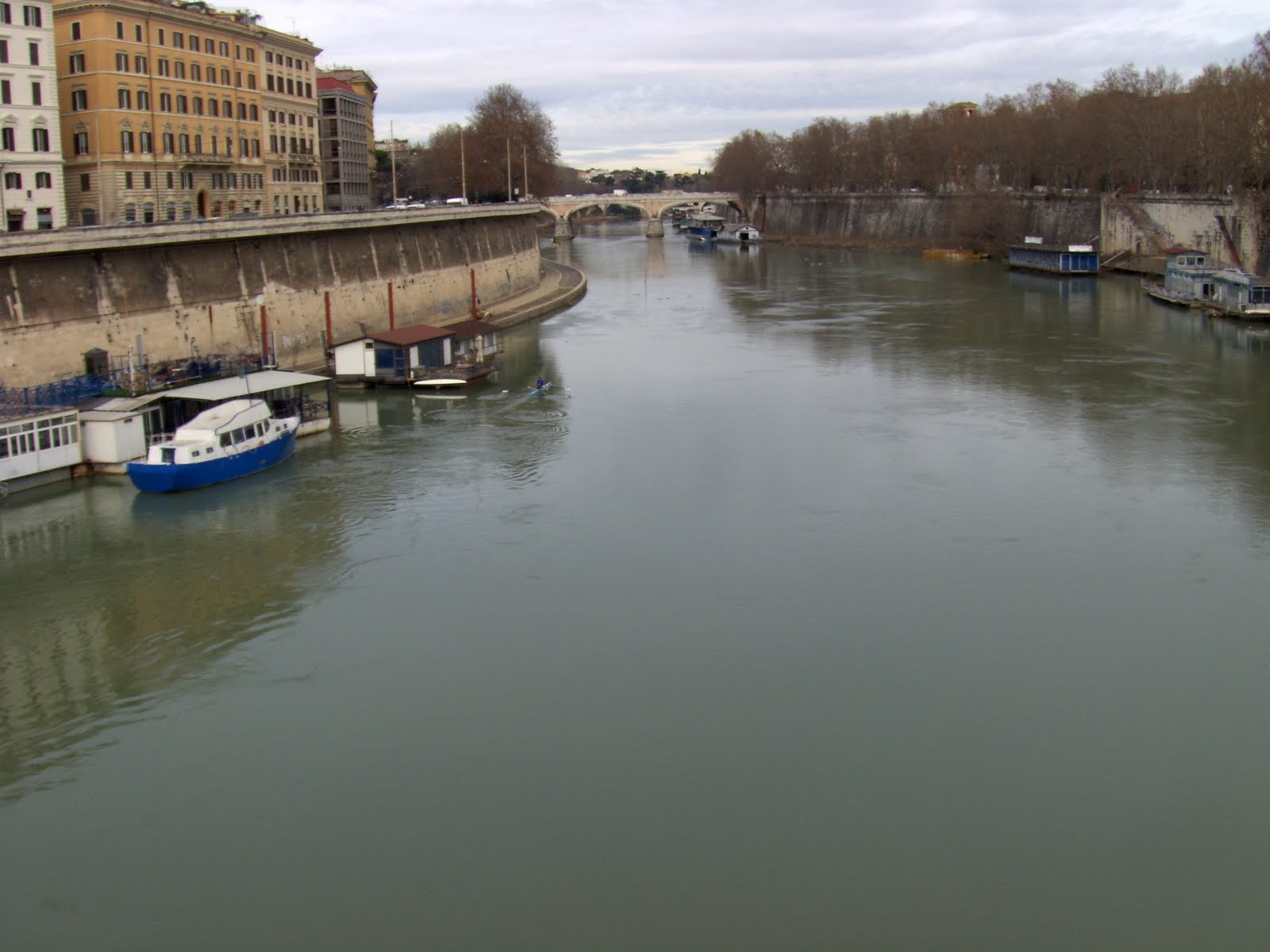 Töllås trädgård: Tant Grön & Co på blixtvisit i Rom