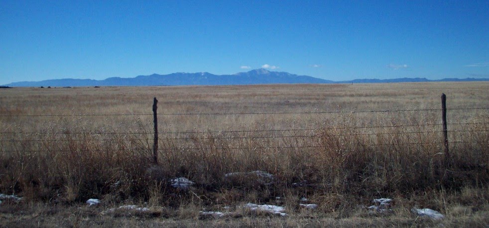 vegan dirt runner: Ellicott, Colorado