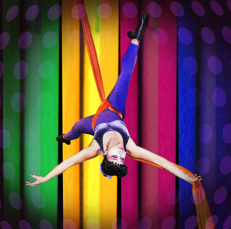 :::Aerial Acrobatic Shows