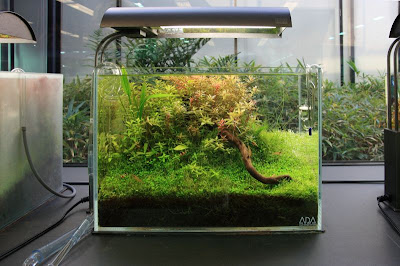 Aquatic Art: ADA galery visit 2009