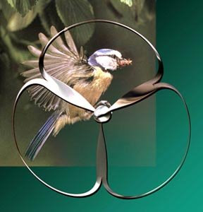 Cecilia's One Week Diary: Bionic Loop Propeller.