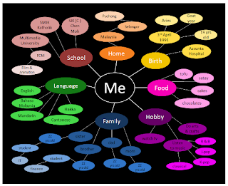 creative studies: Mind map of myself