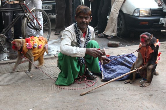 India Photo Stories: Odds and Ends