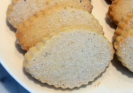 nourish the beast: Global Cuisine in German Village