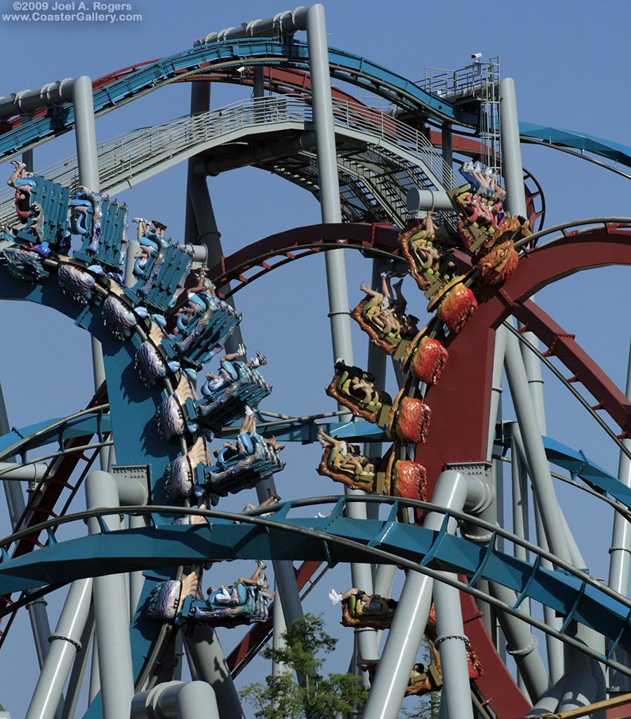 Saatchi Wellness: The Tao of Dueling Dragons