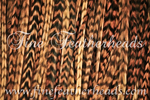 Rita ~ Hurley: Fine Featherheads!