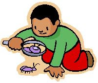 Testing Lessons – Top 5 Secrets to Bug Hunting Success! | Software ...