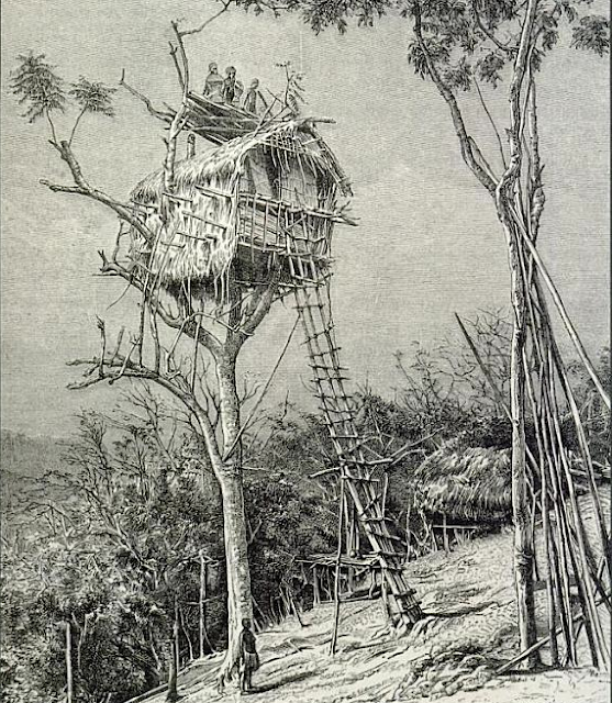 FOF Living: HISTORY OF THE TREEHOUSE.