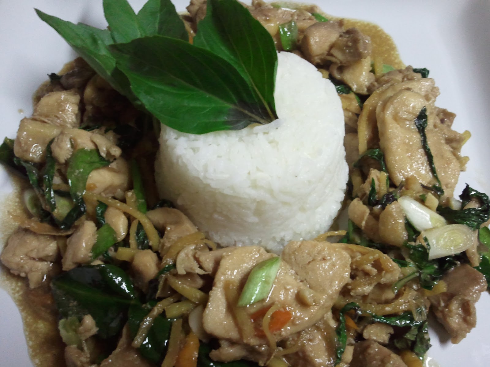 Bistro 331: Pad Kapow Gai (Thai Chicken Basil)