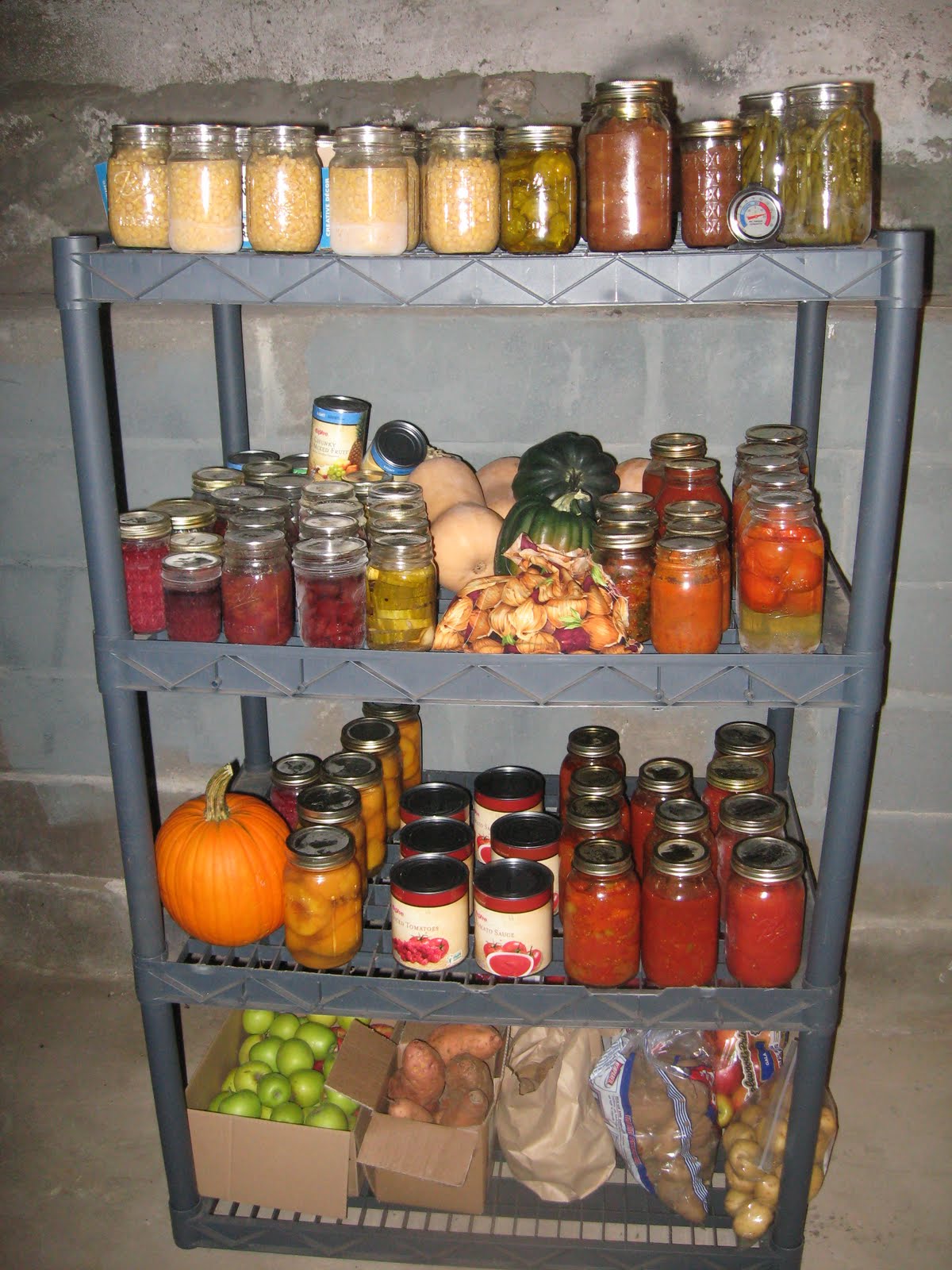 My Path to Freedom: Winter Food Storage Experiment
