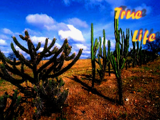 True Life