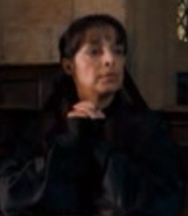 Harry Potter PARALLEL UNIVERSE: Harry Potter Cast of Characters Book 4