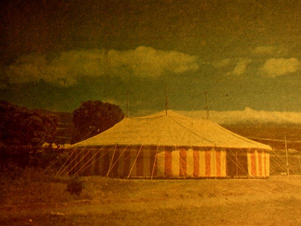 Opiniones de carpas teatro