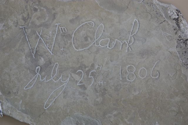 Julie Zickefoose on Blogspot: More Adorable Rodents of Montana