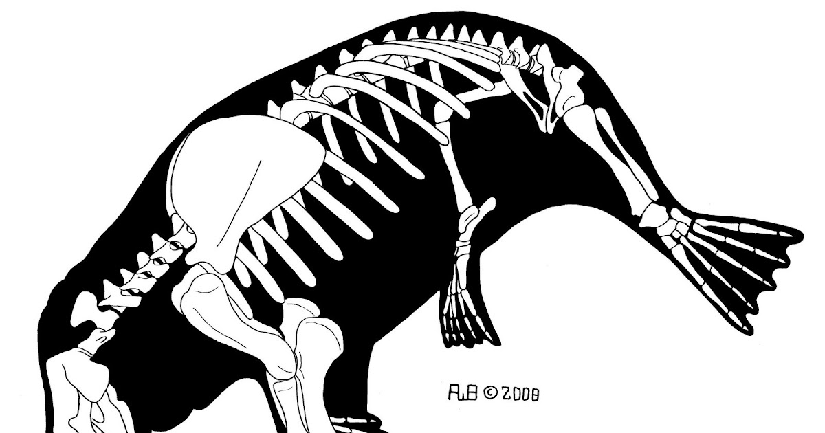 The Coastal Paleontologist, atlantic edition: Reconstruction of a ...