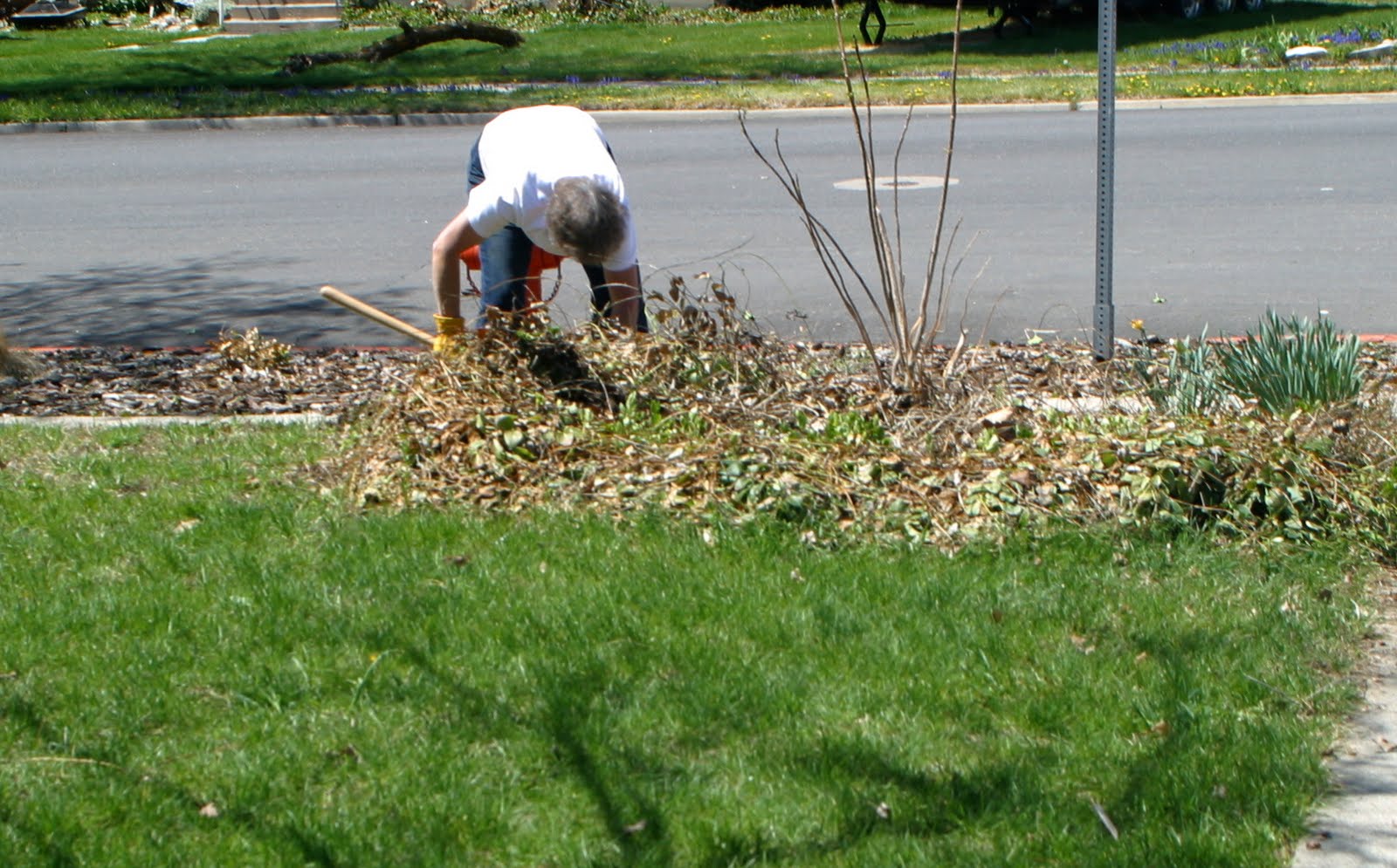 weekend yard-work (so grateful to have yard work) - B. B.