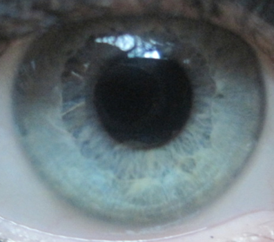 Eye Colors: Pale Blue Eye Color
