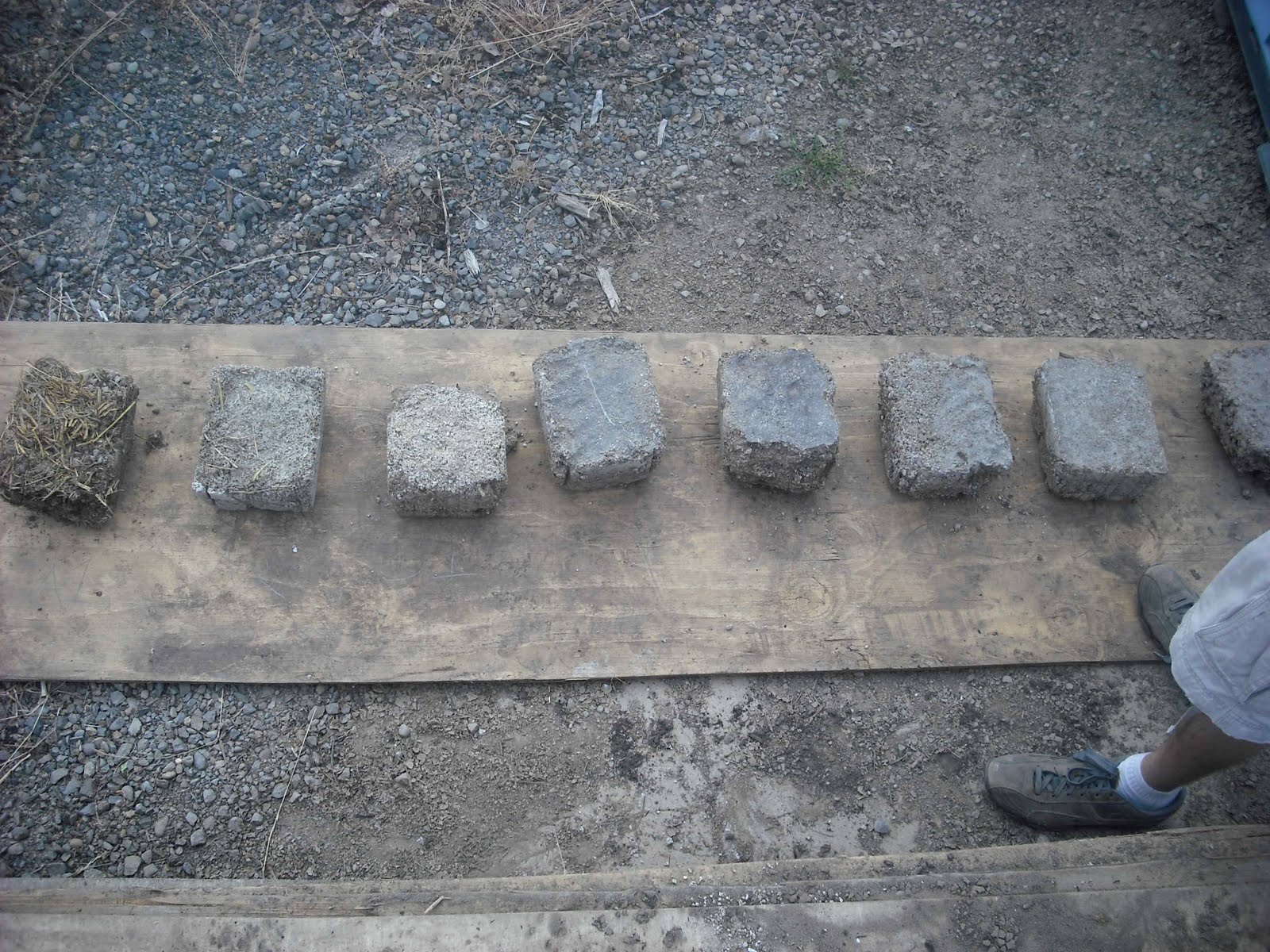 Horticultural Building Systems: [Mid-Term] "Earth Bank" by Matt Brooke ...