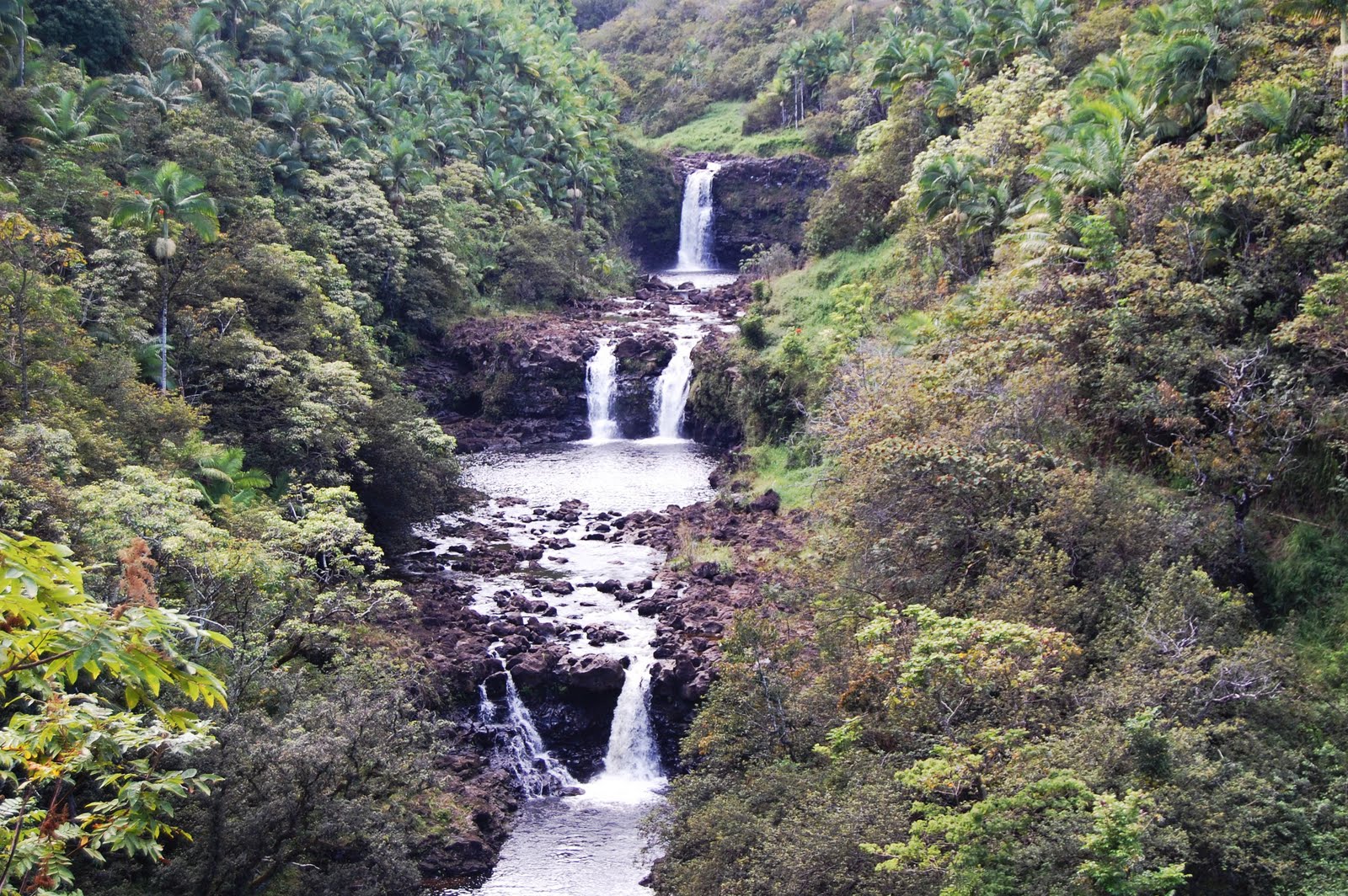 My wheels go round and round: The Big Island - Big Experience