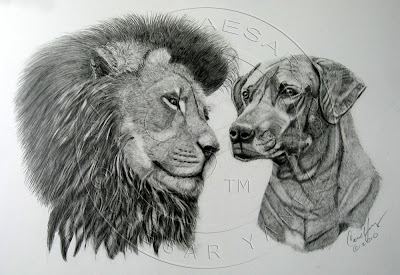 Fine Art Graphite Pencil Drawings