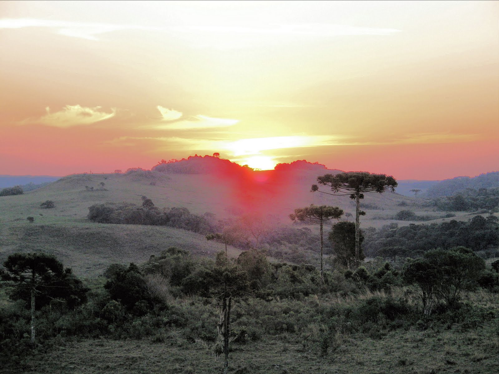 MUNDO MAGICO DE SARA: lages-sc,minha terra natal