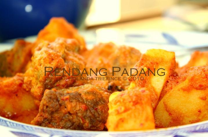 RESEP CAMPUR +++: Rendang Padang Memakai Susu