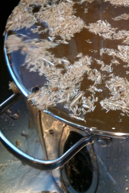 The Brown Book: Home Malting; Making a 12 Pound Batch of Malt in the ...