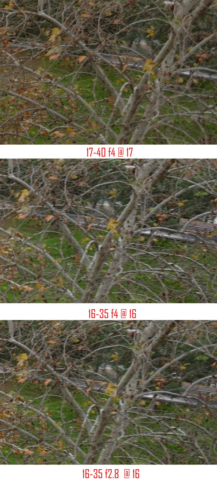 Canon EF 16-35 f2.8 L II vs Canon EF 17-40 f4 L - Zoom supergrandangolari professionali a confronto!