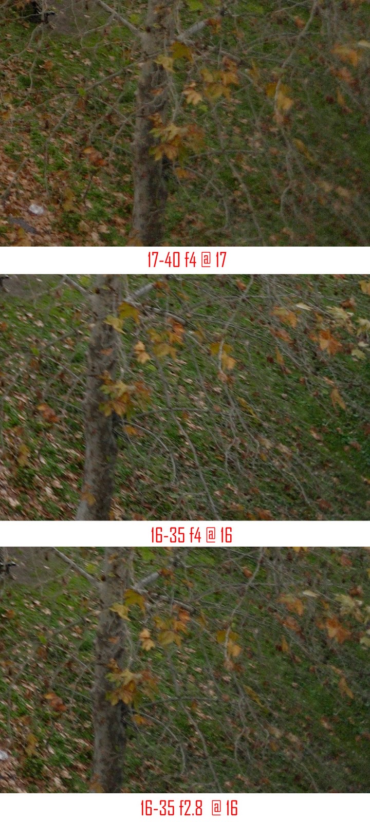 Canon EF 16-35 f2.8 L II vs Canon EF 17-40 f4 L - Zoom supergrandangolari professionali a confronto!