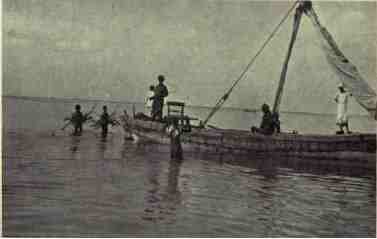 History of the Somals: Emir Shermaarke Saalax Baasha (1790-1861) the ...