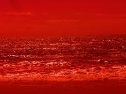 chazchazz: lujuria pasional en rojo