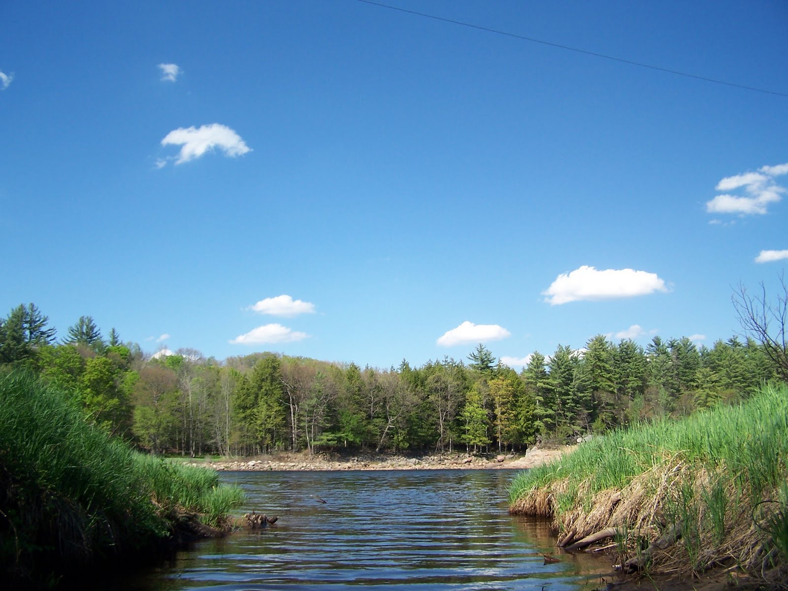 Quiet Kayaking in New York State: Moose River Convergence with Black ...