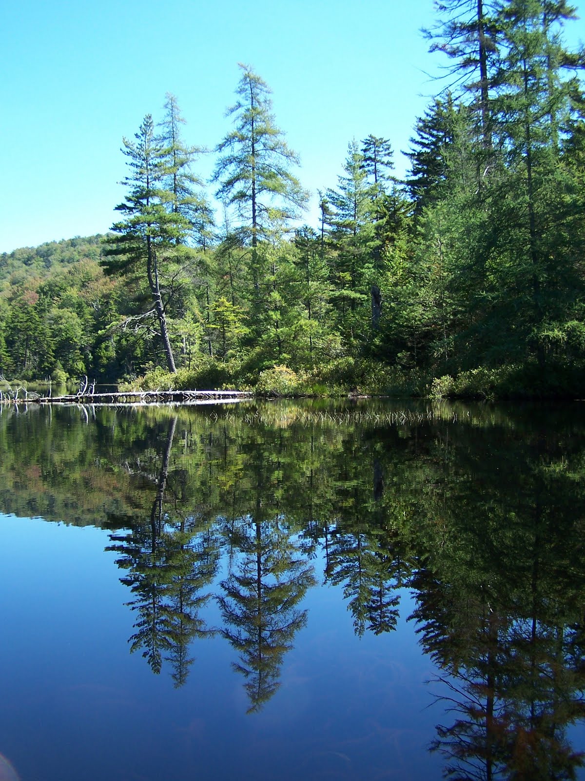 Quiet Kayaking in New York State: Nicks Lake, part one