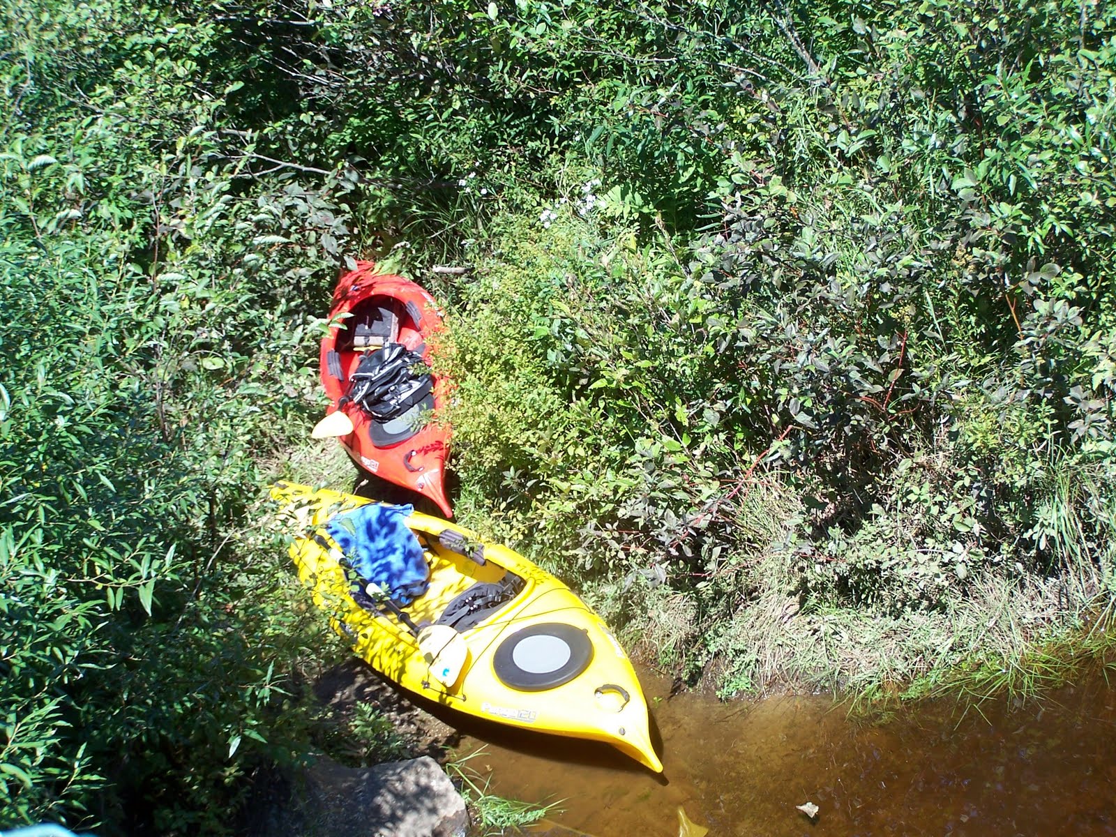 Quiet Kayaking in New York State: Kunjamuk River and Elm Lake, (by way ...