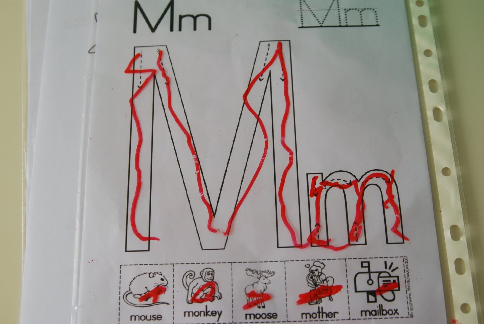 Homeschool @ SG: Drawing a duck and the letter M