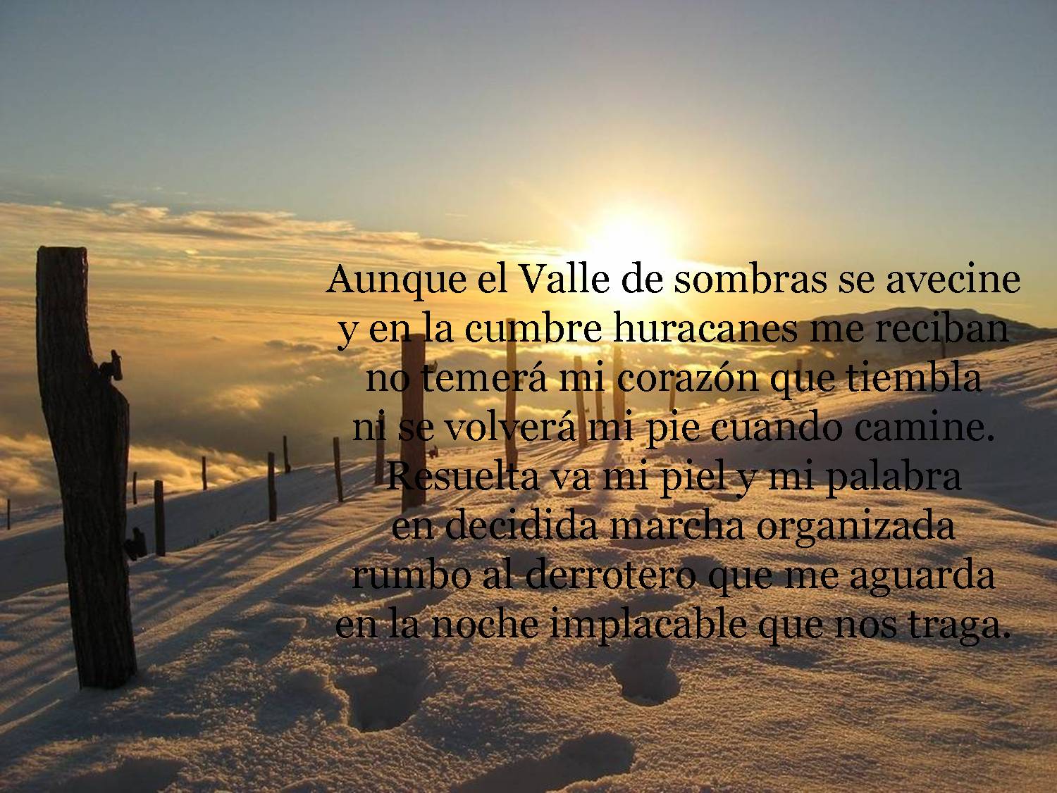 Afirmando El Corazón: POEMAS