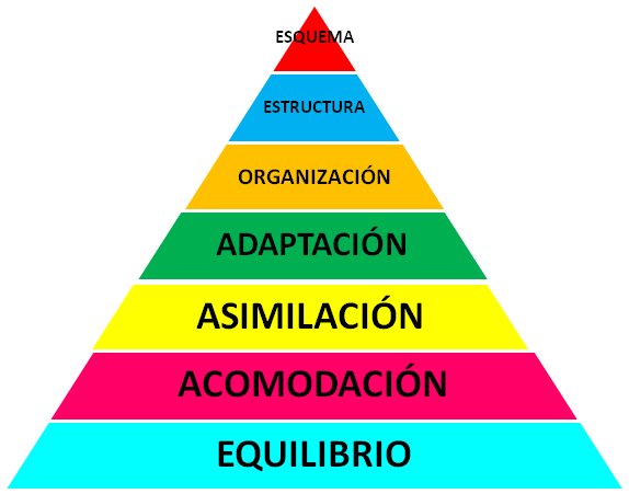 Neurodesarrollo: Resumen: Desarrollo Cognitivo