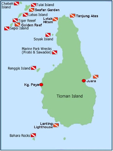 Dive Package: TIOMAN LOB TRIP