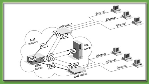 TELECOMUNICACIONES - FISICA: REDES LAN