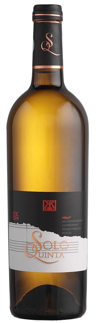 Lucruri Bune: Solo Quinta 2009 Cramele Recas