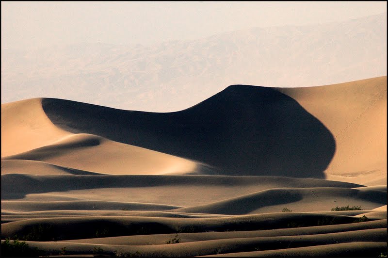 pub veritas: from the desert fathers..